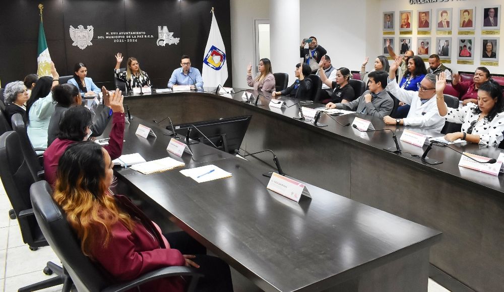 Realizan la Segunda Sesión Ordinaria del SIPINNA La Paz